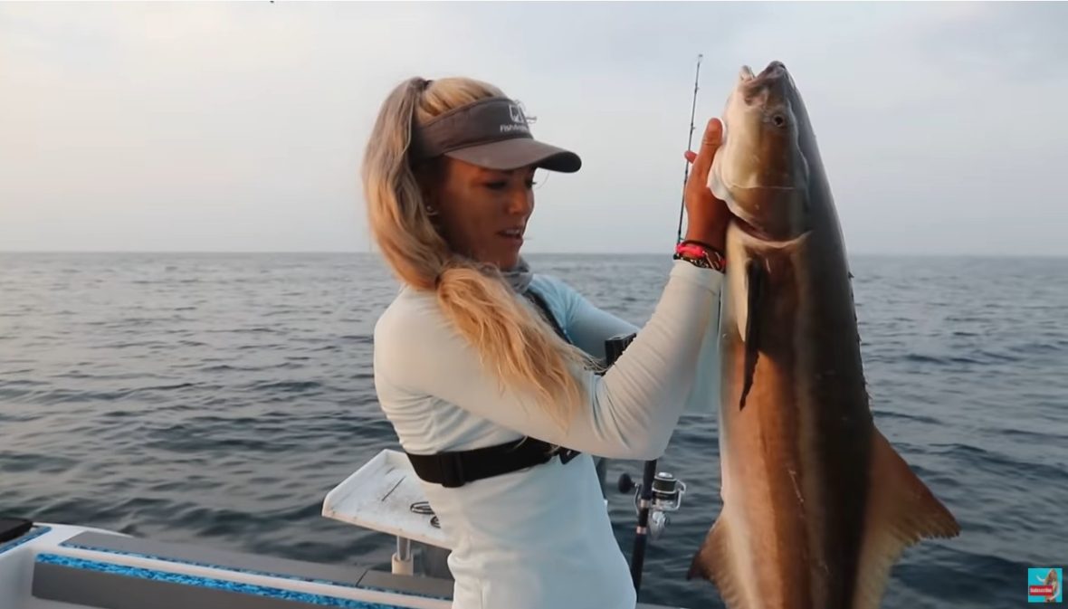 Cobia Fish - Cobia Fishing - Cobia Fish Taste - Cobia Fish Recipes