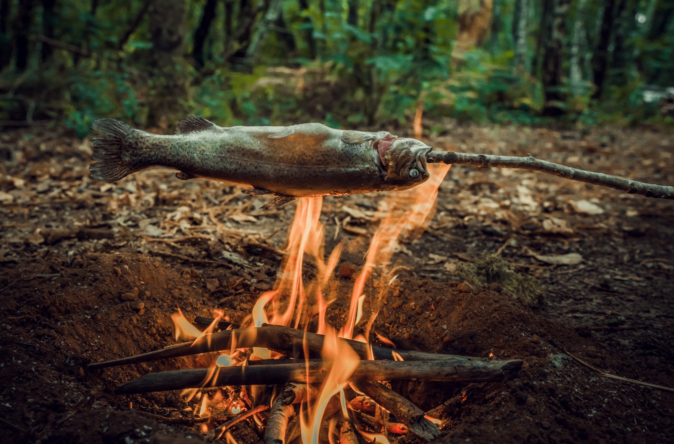Cooking Fish at Camp - Caveman Style Cooking - Pan Cooking Perch, Trout ...